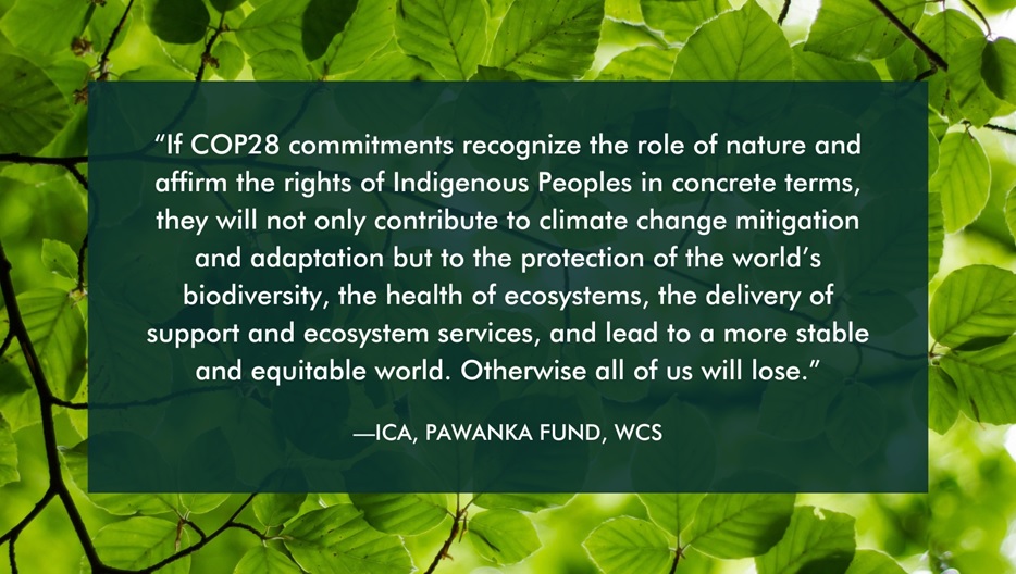 News Statement for Indigenous Peoples Day at COP28, Dec. 5, 2023 From: Inclusive Conservation ...